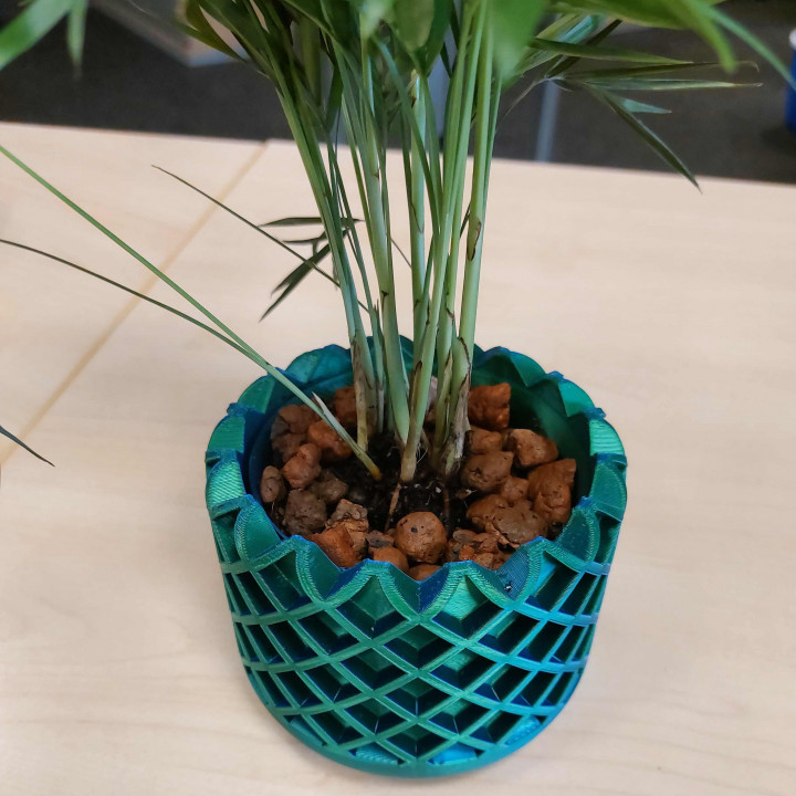 3D Printable Geometric flower pot by D B