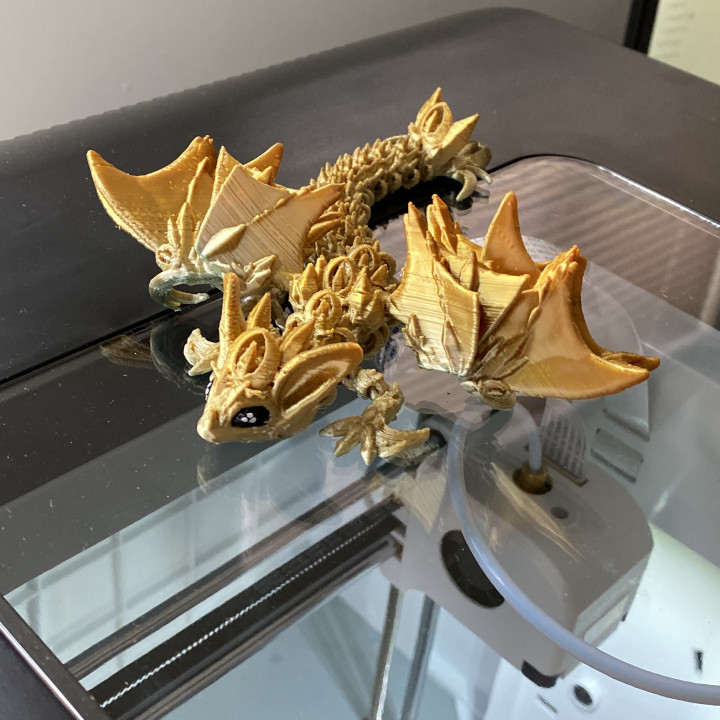 3D Print of Nightwing Dragon by timjennings