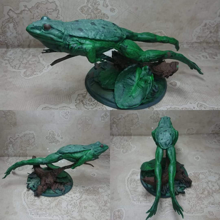 3D Print of Frog Jump Mounted by Depuce