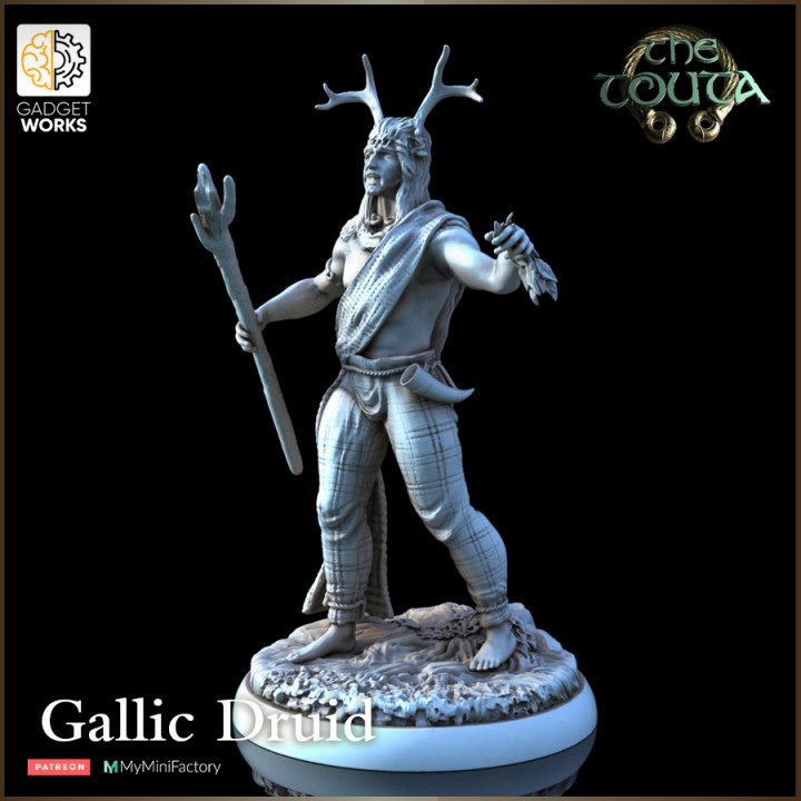 3D Printable Gaul Druid and Totem - The Touta by Gadgetworks