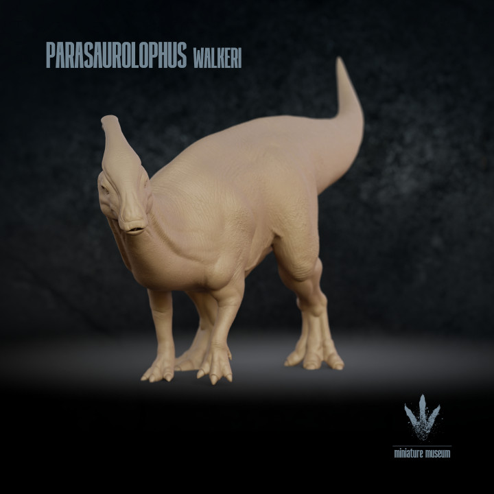 Téléchargement Parasaurolophus walkeri : Quadrapedal Pose par Miniature ...