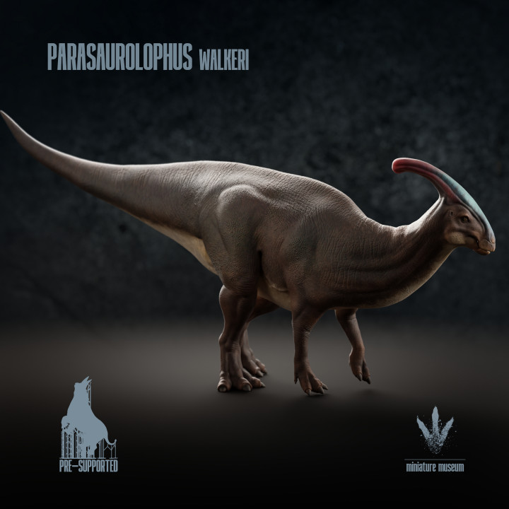 Téléchargement Parasaurolophus walkeri : Quadrapedal Pose par Miniature ...