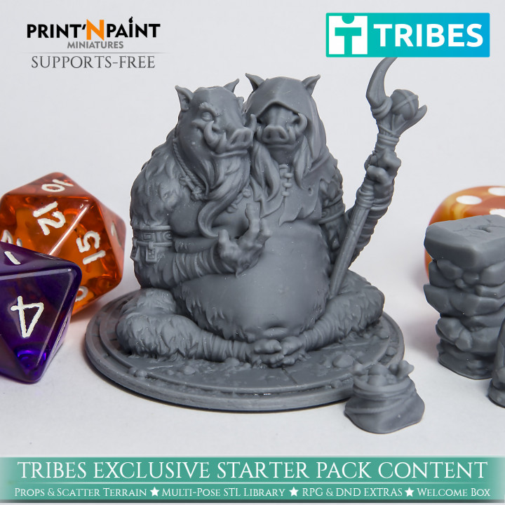 3D Printable Boarman Oracle by Leonardo Escovar