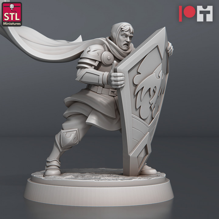 3D Printable DnD Tribute Set by STL Miniatures