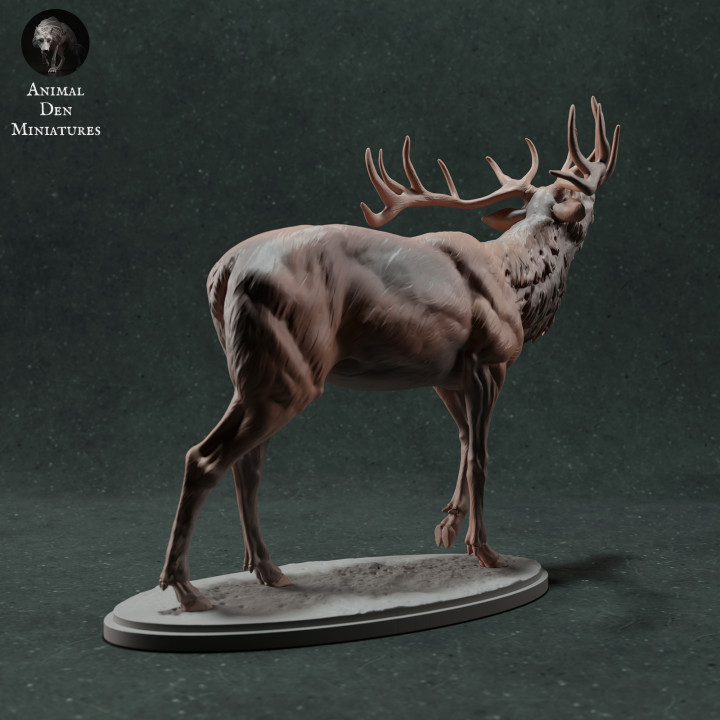 3D Printable Red Deer Stag Call by Animal Den Miniatures