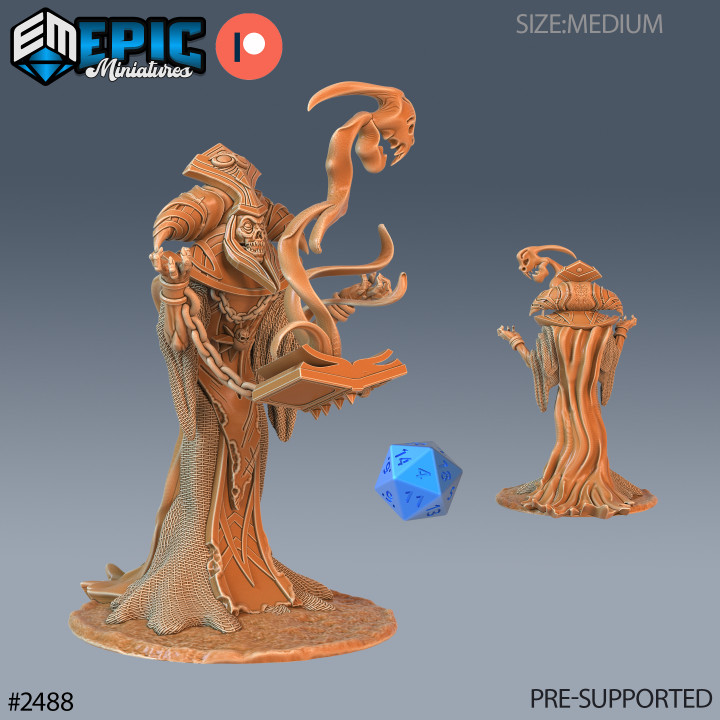 3D Printable Arch Lich Set / Necromancer / Undead Wizard / Evil Zombie ...