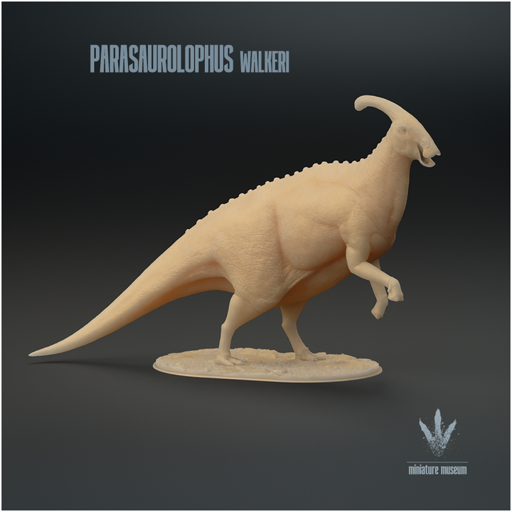3D Printable Parasaurolophus walkeri : Bipedal Pose by Miniature Museum