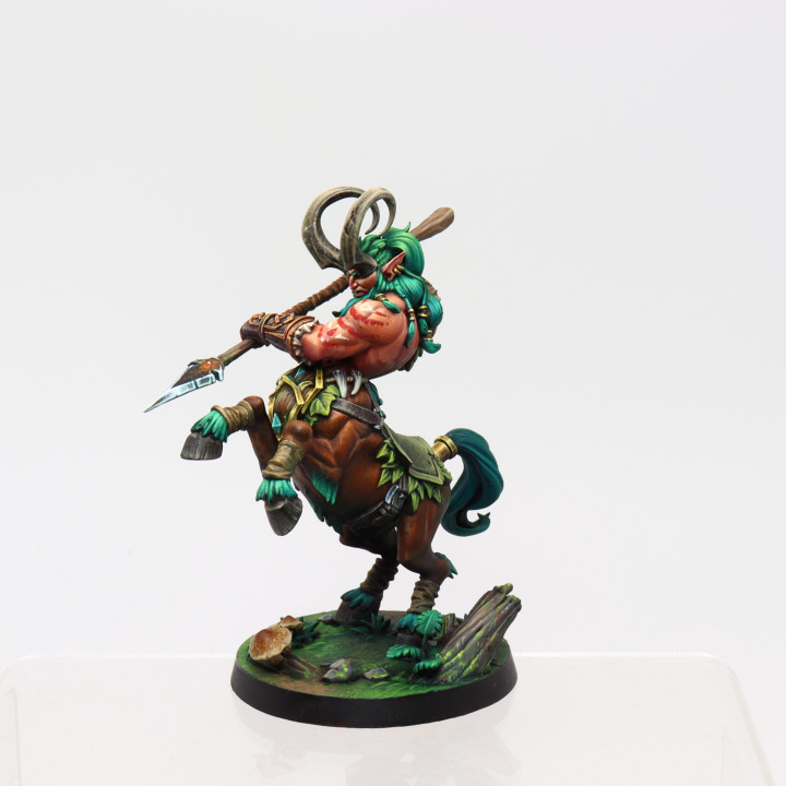 3D Printable Bastion, the Centaur Druid (4 Versions) by Bite the Bullet