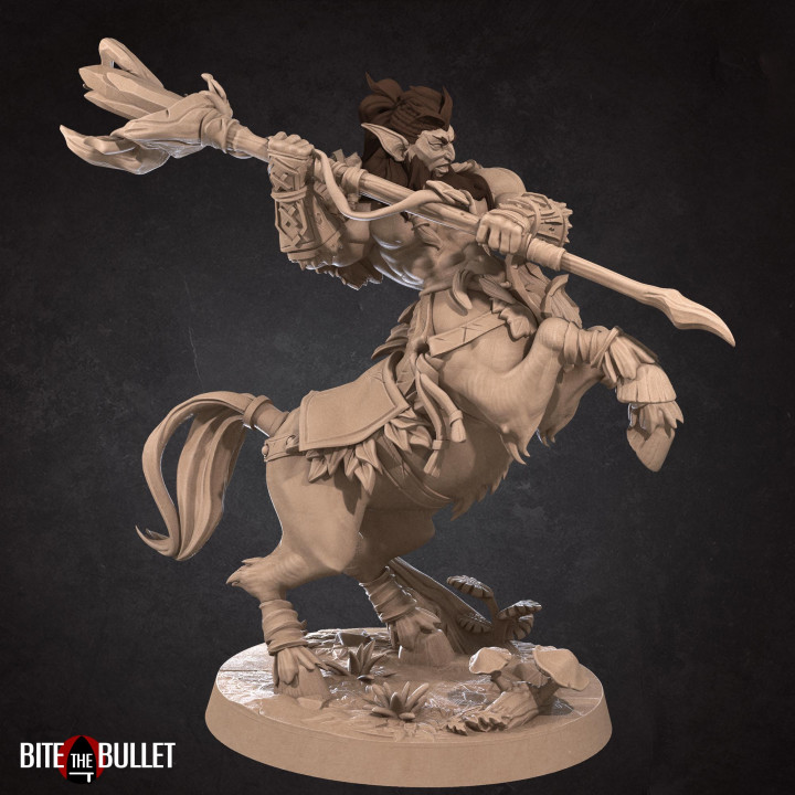 3D Printable Bastion, the Centaur Druid (4 Versions) by Bite the Bullet