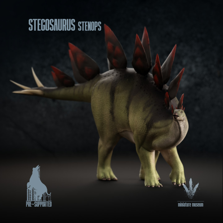 3D Printable Stegosaurus stenops: The Spikes of Jurassic by Miniature ...