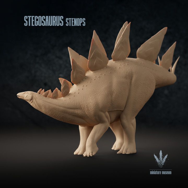 3D Printable Stegosaurus stenops: The Spikes of Jurassic by Miniature ...