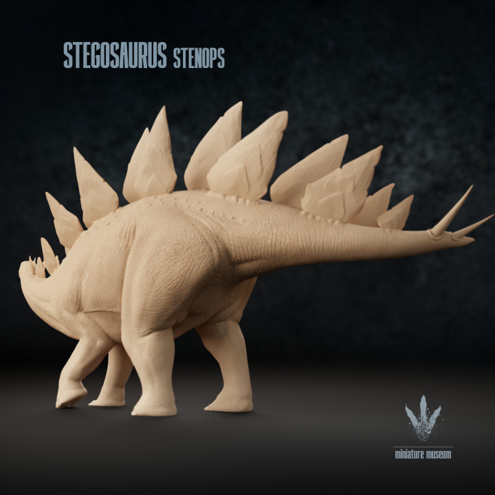 3D Printable Stegosaurus stenops: The Spikes of Jurassic by Miniature ...
