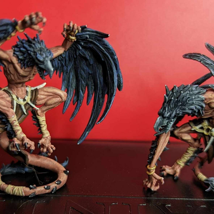 3D Print of Rapacious birds by lintmonkey