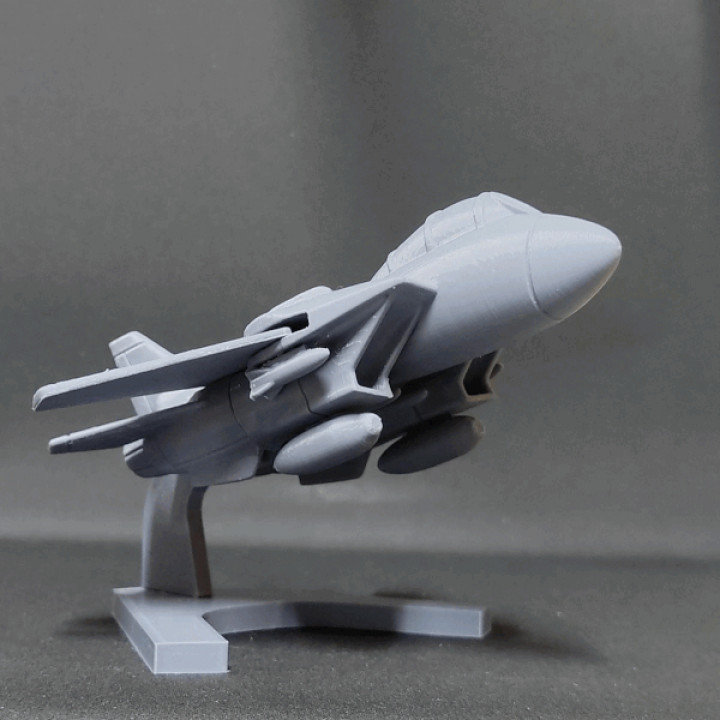 3D Printable Baby jet _ f-14 tomcat by NEMO_MK2