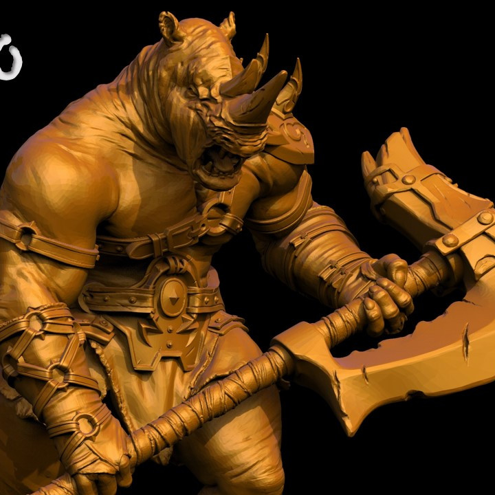 RAINO-The Rhino Warrior Campaign - MyMiniFactory