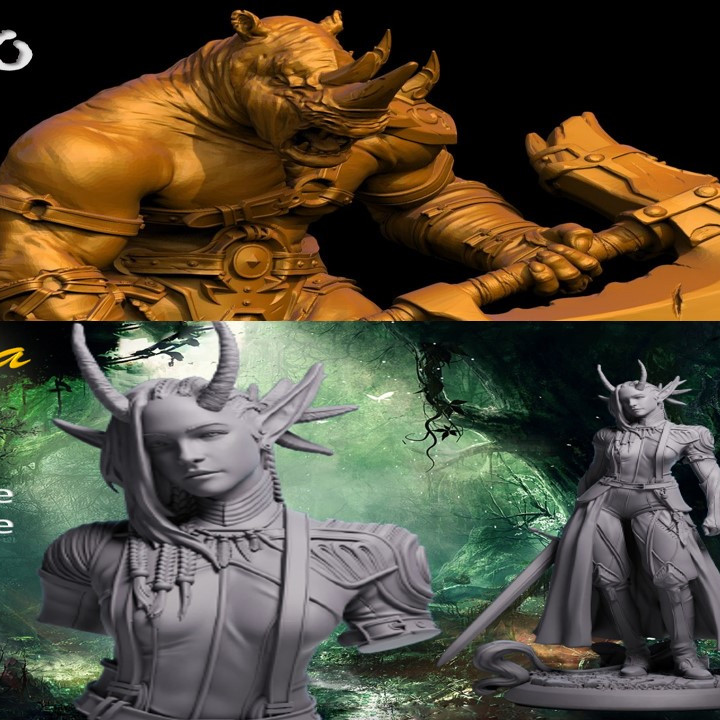 RAINO-The Rhino Warrior Campaign - MyMiniFactory