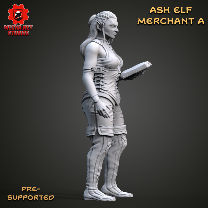 3D Printable Ash Elf Merchant A by MechaNet Studios
