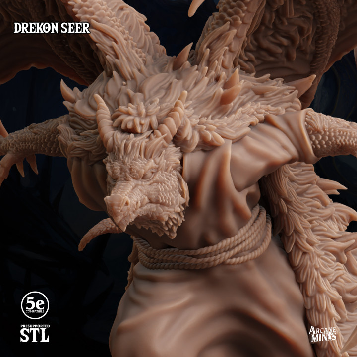 3D Printable Drekon Seer Elder by Sordane Publishing