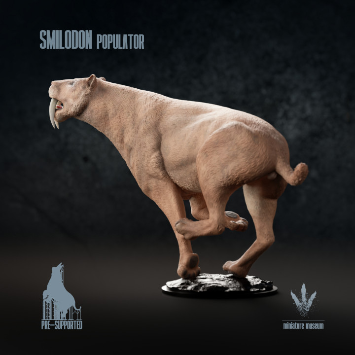 3D Printable Smilodon populator : Pursuit Predation by Miniature Museum