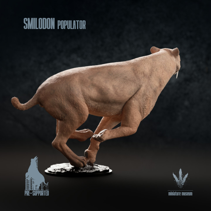 3D Printable Smilodon populator : Pursuit Predation by Miniature Museum