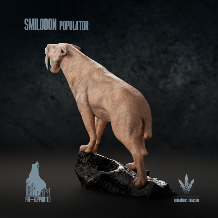3D Printable Smilodon populator : Looking over his territory by ...