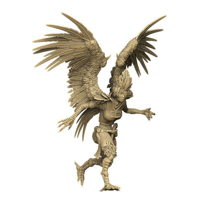 3D Printable Pirate Harpy by MiniaturesCraze