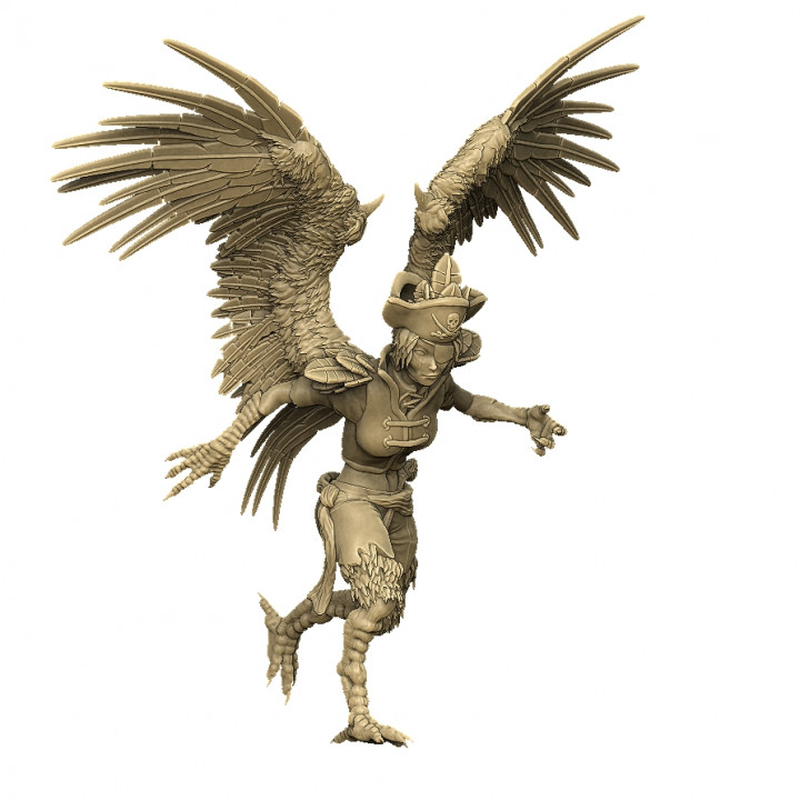 3D Printable Pirate Harpy by MiniaturesCraze