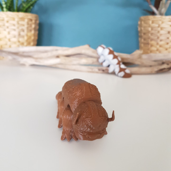 3D Printable Flying Bison (inspired by Appa) Flexi by Boby Green Creations