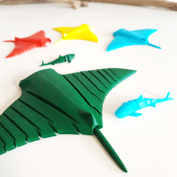 3D Printable Manta Ray Flexi by Boby Green Creations