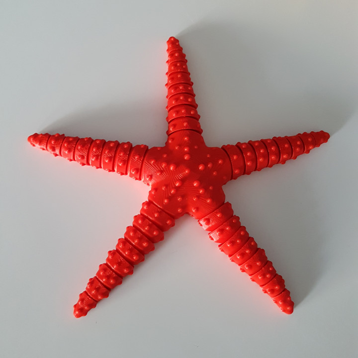 3D Printable Starfish Flexi by Boby Green Creations