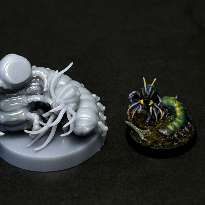 3D Print of Carrion Crawler / Giant Centipede / Burrowing Abberation ...