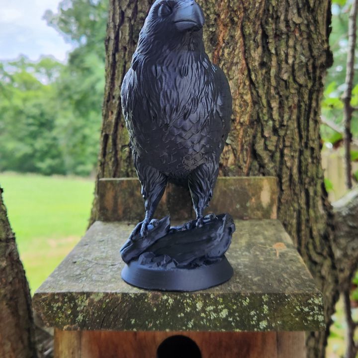 3D Print of Raven by FaCough