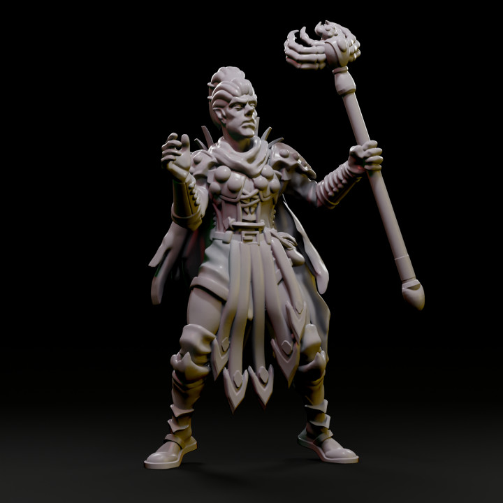 3D Printable Drow Wizard by Arcknight LLC