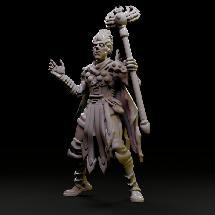 3D Printable Drow Wizard by Arcknight LLC