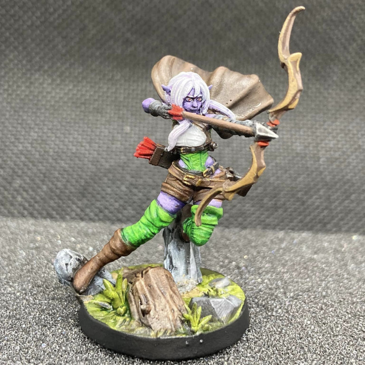 3D Print of Arya Fantasy Elf Girls STL Vol 1 by TyrantSparda