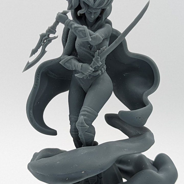 3D Printable Dark elf Assassin Layla - Dark elf Assassin Dual blade ...