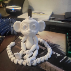 3D Printable ARTICULATED MONKEY by Rogi Studios