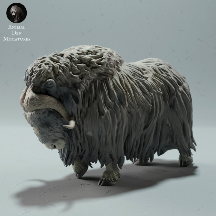 3D Printable Musk Ox Sheep by Animal Den Miniatures