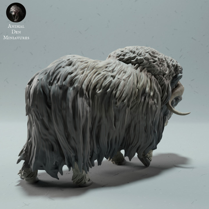 3D Printable Musk Ox Sheep by Animal Den Miniatures