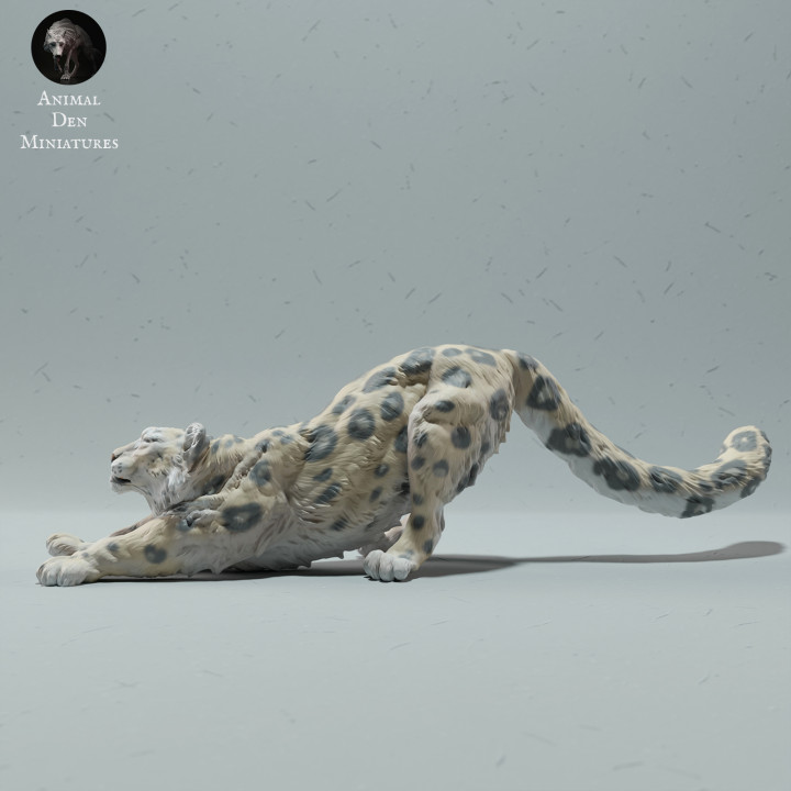 3D Printable Snow Leopard Stretching by Animal Den Miniatures