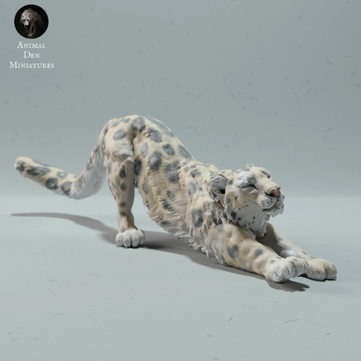 3D Printable Snow Leopard Stretching by Animal Den Miniatures