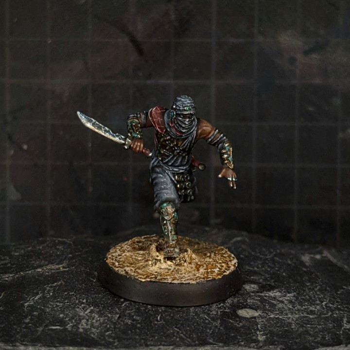 3D Printable Snake Army Assassin | Snake Army | Fantasy by Davale Games