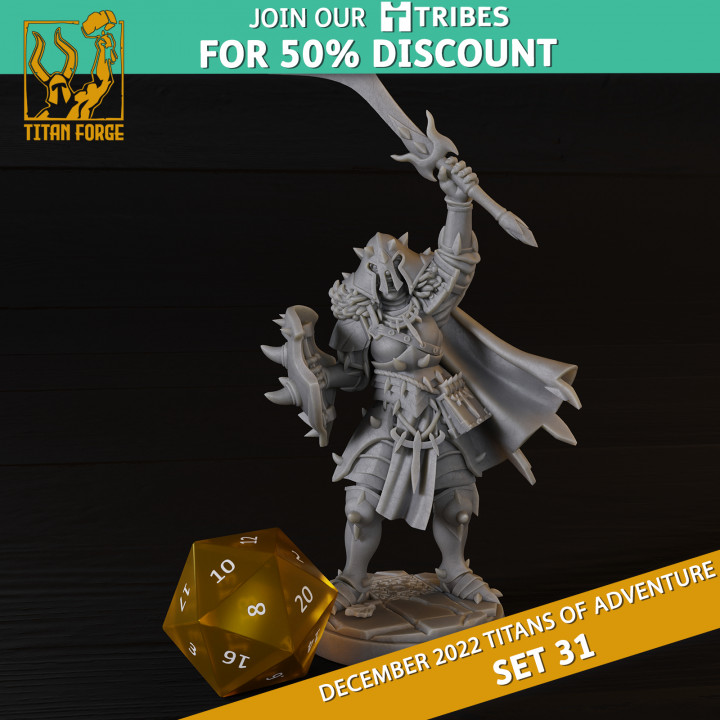 3D Printable RPG - DnD Hero Characters - Titans of Adventure Set 31 by ...