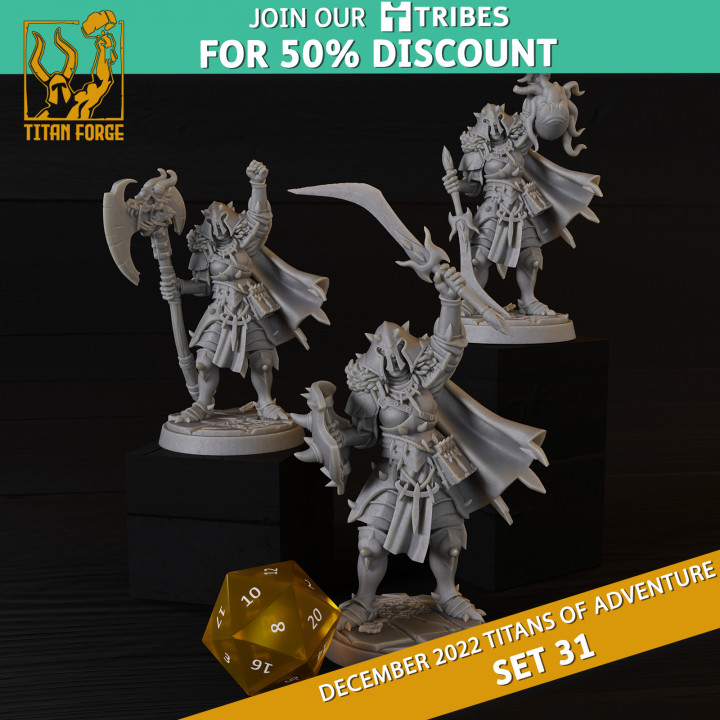 3D Printable RPG - DnD Hero Characters - Titans of Adventure Set 31 by ...