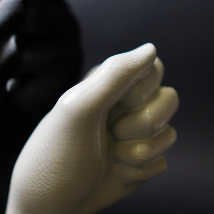 3D Printable Hand-Shaped Flower Vase by Stlflix