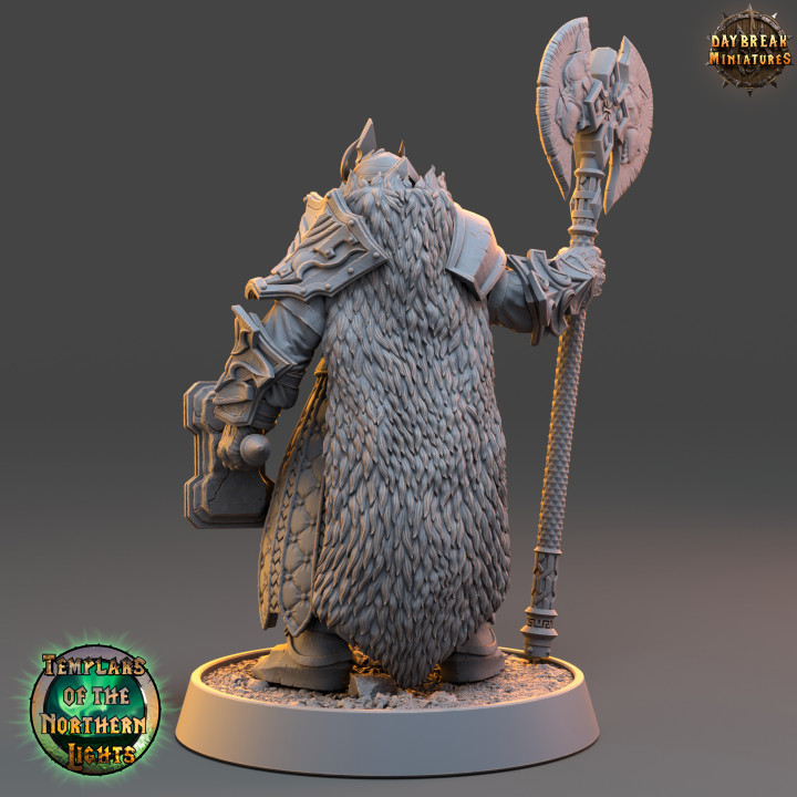 3D Printable Holger Oather - Templars of the Northern Lights by ...
