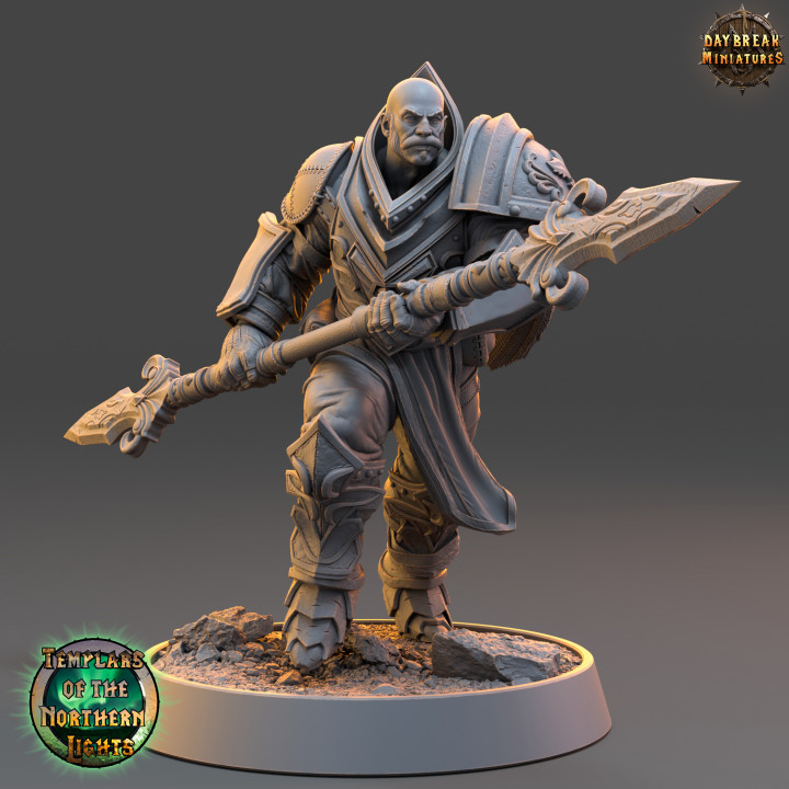 3D Printable Sverker Icebrand - Templars of the Northern Lights by ...