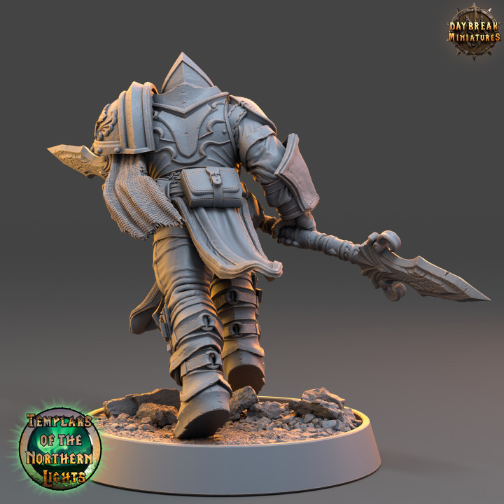 Download Sverker Icebrand - Templars of the Northern Lights von ...