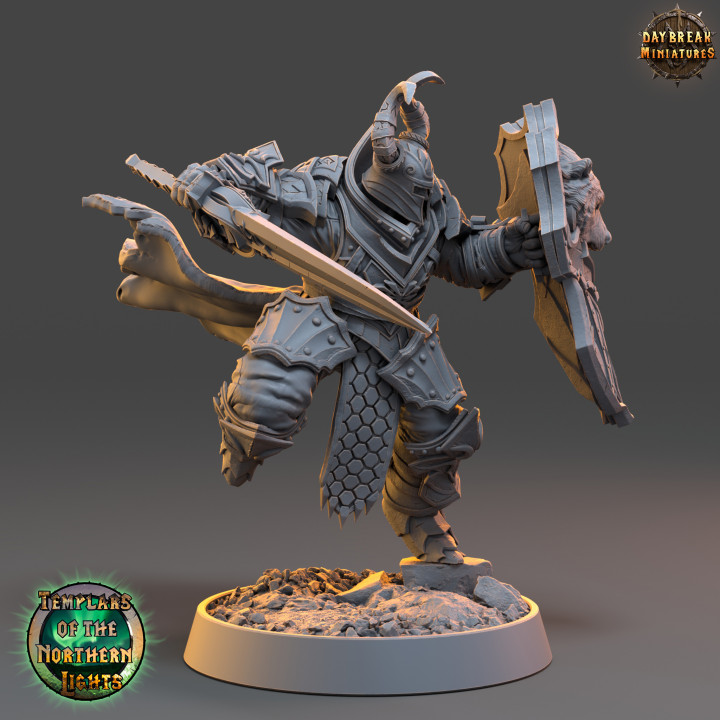 3D Printable Johan Firepine - Templars of the Northern Lights by ...