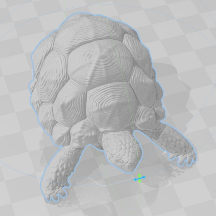 3D Printable Indian Star Turtle Ornament by Green Isand Pet